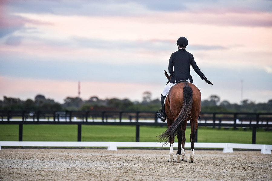 Hoofpick | Advance Your Dressage Movements