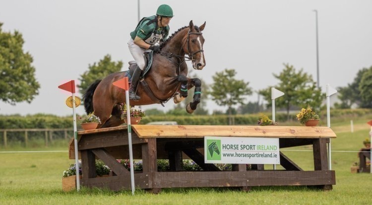 Hoofpick | Irish Contenders Revealed for Young Horse World ...