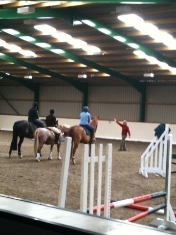 Hoofpick | Brook Farm TC