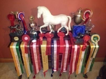 Hoofpick | Cappa Stud